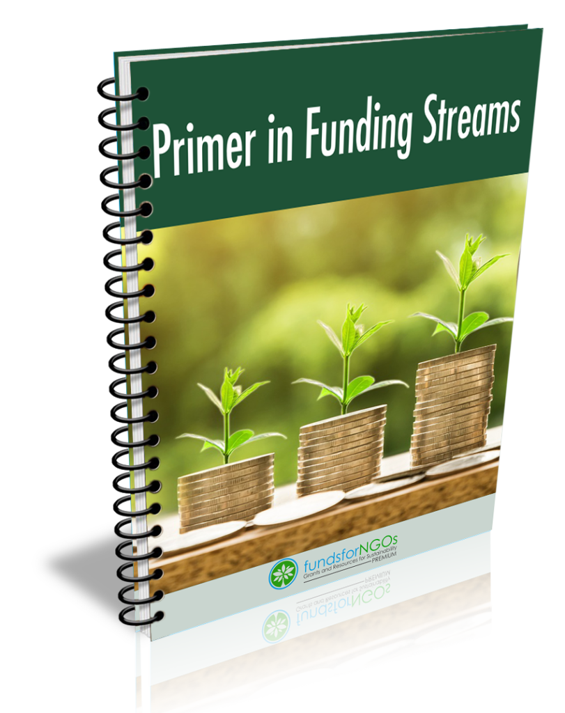 Primer in Funding Streams: Vocabulary and Recommendations for NGOs New ...