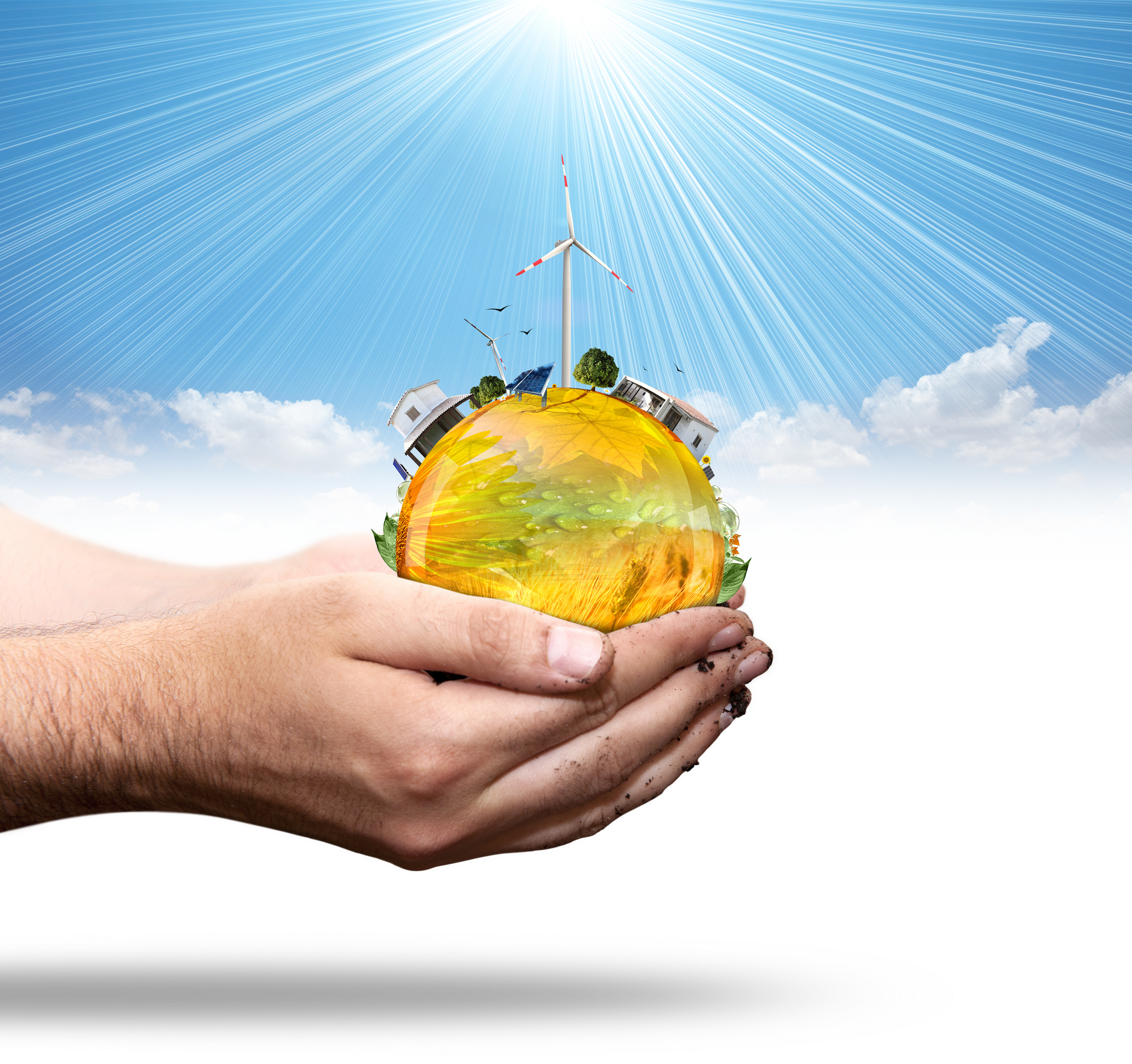 Green Ambassador for the Climate in Africa 2020 - fundsforNGOs