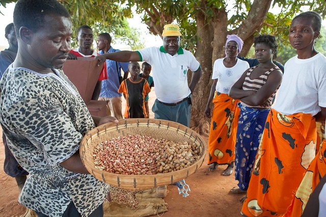 Most Prominent Funding Calls for African NGOs and Individuals ...