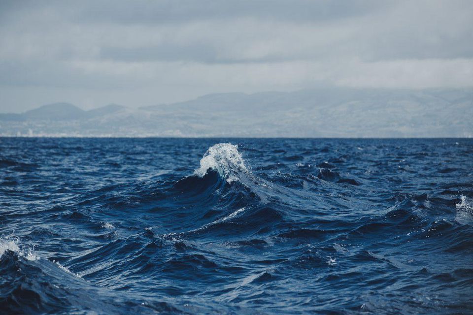 United Nations Unite launches “Reboot the Ocean” Challenge - fundsforNGOs