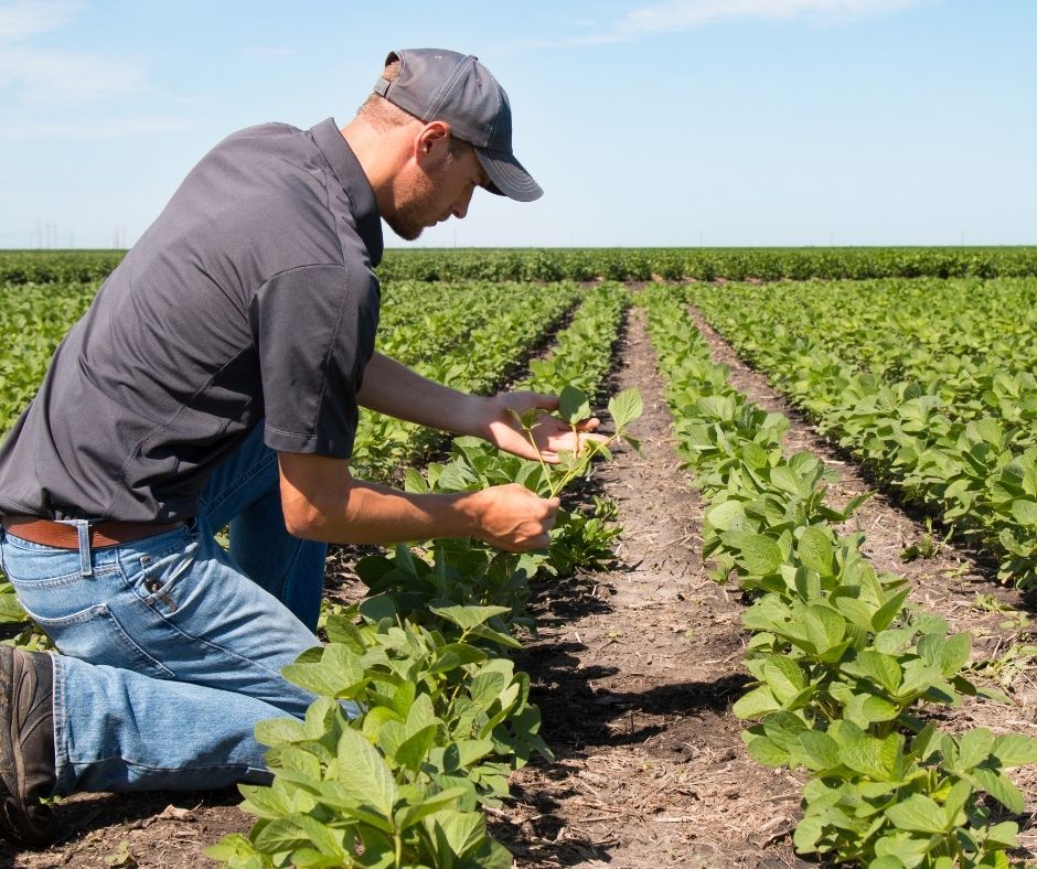 5 Steps to Fundraising Success for Small and Grassroots NGOs