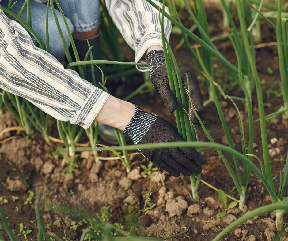 Nuffic Call for Grant Applications: Institutional Collaboration ...