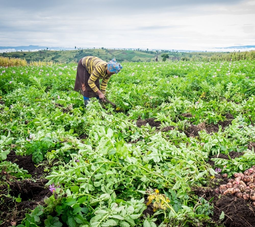 Walker Environmental: Biosolids Upcycling Challenge - fundsforNGOs