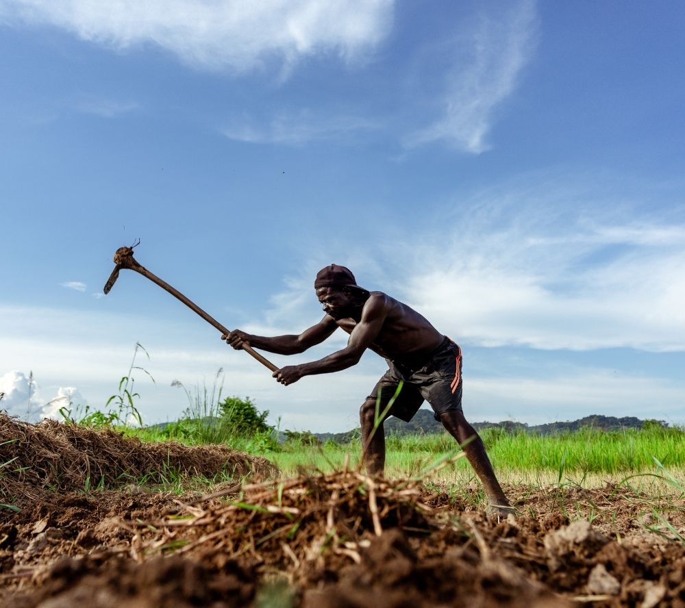 5 Steps to Fundraising Success for Small and Grassroots NGOs