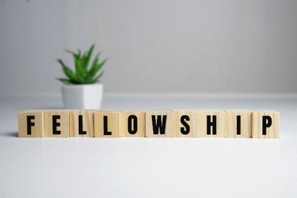 50 Latest Fellowship Opportunities for NGOs, Nonprofits, and ...