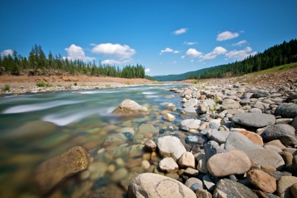 Open Rivers Programme for restoration of River Flow and Biodiversity ...