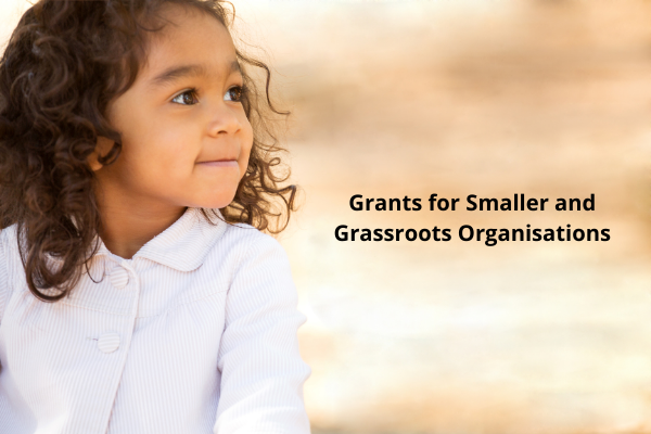 50+ Open Grants for Smaller and Grassroots Organizations delivering ...