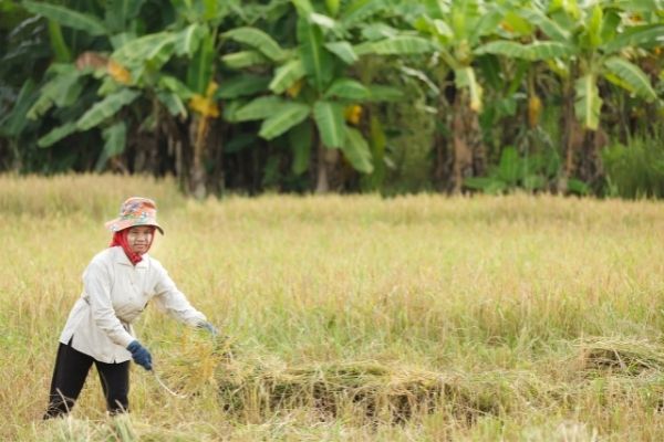 7 tips for creating successful partnerships with NGOs - fundsforNGOs