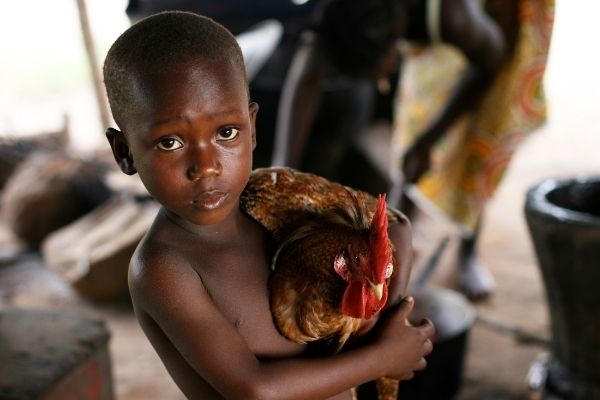 A Simple Step-by-Step Guide for NGOs on "How to write Proposals" - fundsforNGOs