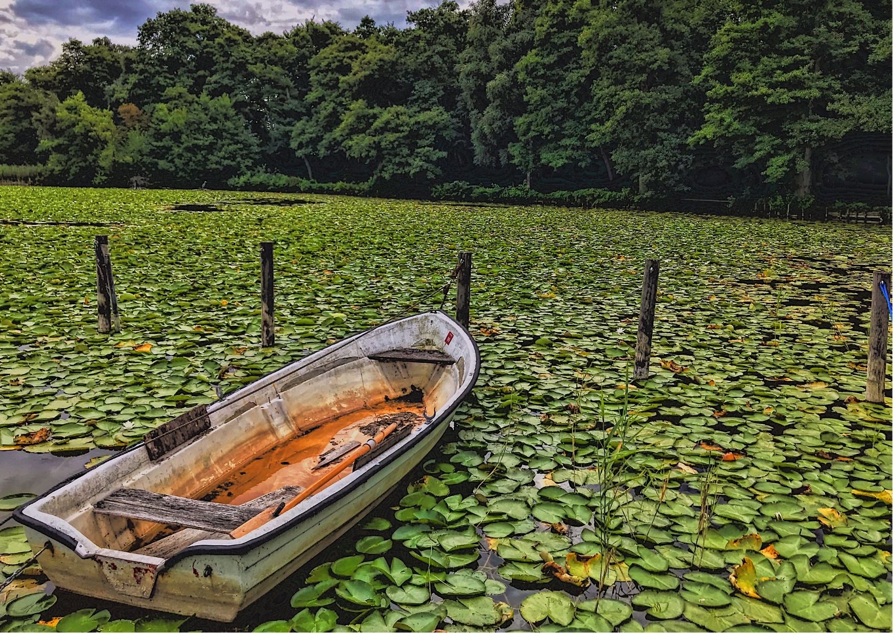 Wallacea Biodiversity Hotspot Large Grants - fundsforNGOs