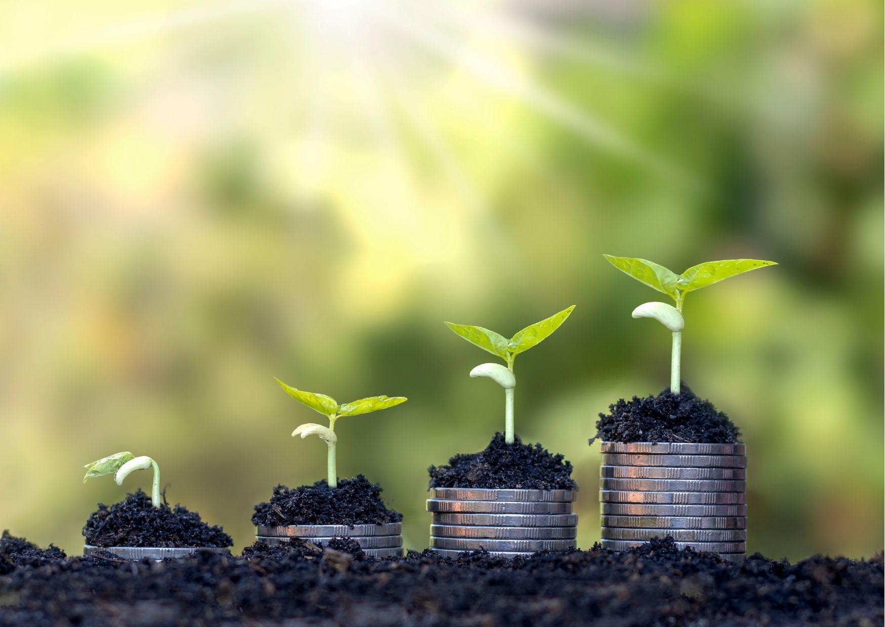 How to establish Effective Governance in Your NGO