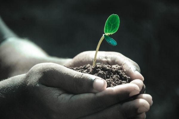 Planting Prosperity Program Grant in the US - fundsforNGOs