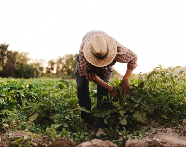 A Free Guide on 'How to Create a Communications Plan for Your NGO ...