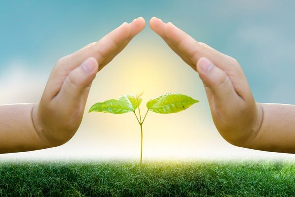 How to establish Effective Governance in Your NGO