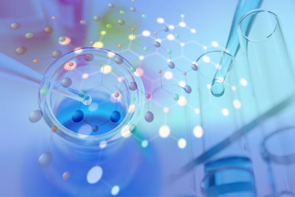 How to establish Effective Governance in Your NGO