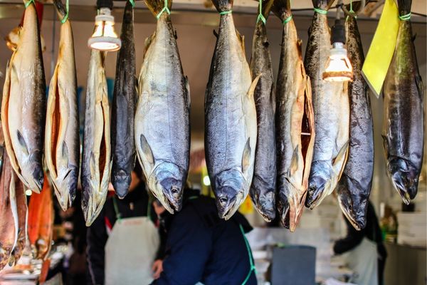 Open Call for Management of Fish Market Operations at Roseau Fisheries ...