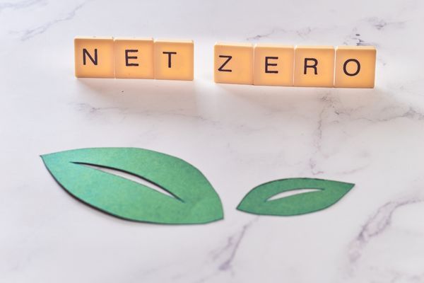 Net Zero Grants in the United Kingdom - fundsforNGOs