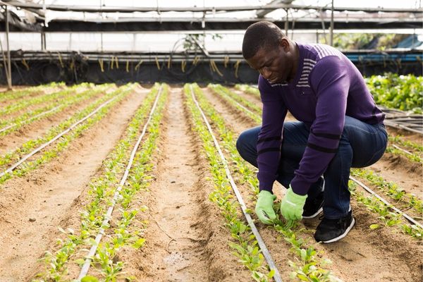 Smarter Climate Farmers Challenge 2023 - fundsforNGOs