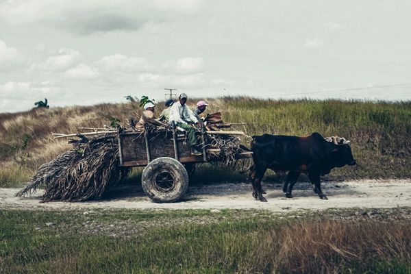 Small Grants 2022 for Sustainable Livelihoods Projects in Zimbabwe ...