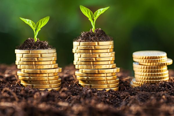 Latest Grants and Resources for Environment and Conservation and ...