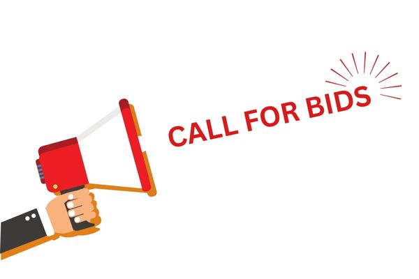 Call for Bids: Romania’s Roadmap to a Greener Financial System ...