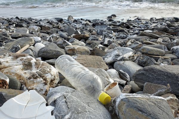 First Nations Environmental Contaminants Program (Canada) - fundsforNGOs