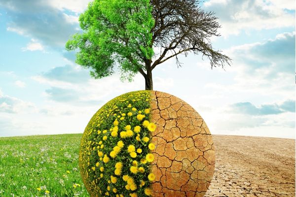 Call for Nominations: Climate Change Photo Essay Prize - fundsforNGOs