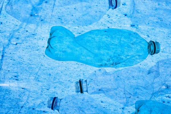 WWF-Viet Nam: No Plastic in Nature Initiative (Phase 2) - fundsforNGOs