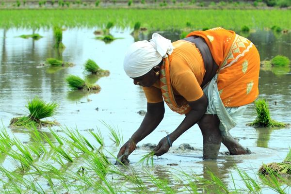 Grant Assistance for Grassroots Projects (GGP) Scheme: Call for ...