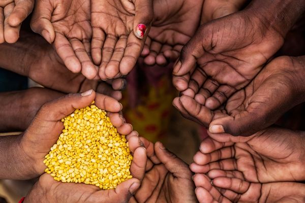 Global Circles Program – Apply Now! - fundsforNGOs