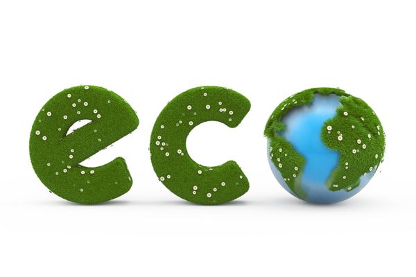 Call for Entries: Eco State Poster Competition 2023 - fundsforNGOs