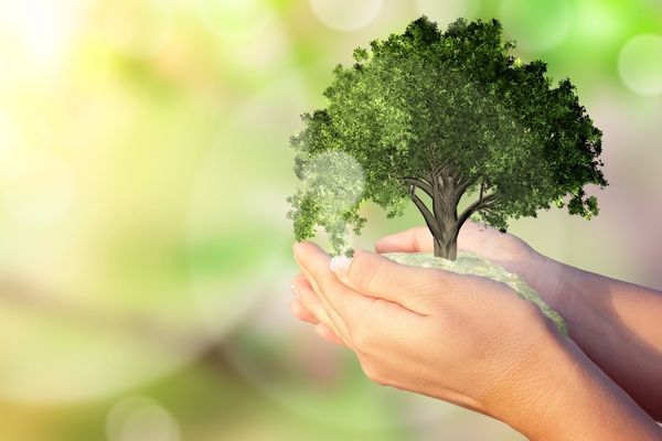 Dalberg launches the First Biodiversity Project Accelerator in Africa ...