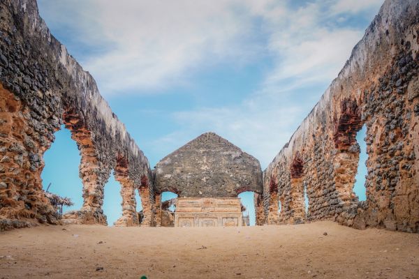 USDA/NIFA: Community Food Projects Competitive Grant Program - fundsforNGOs