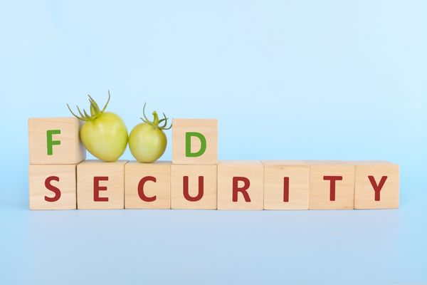 Global Future Fellows 2023: Achieving Food Security Amid Global ...