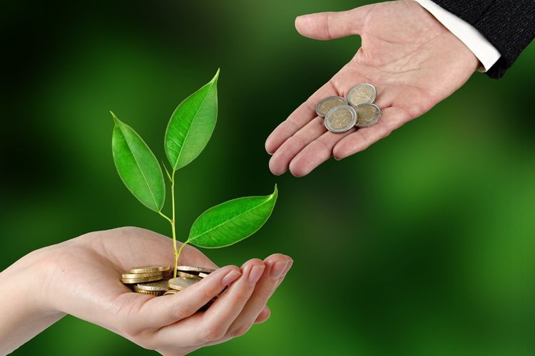 Flat6labs Riyadh Seed Program in Saudi Arabia - fundsforNGOs