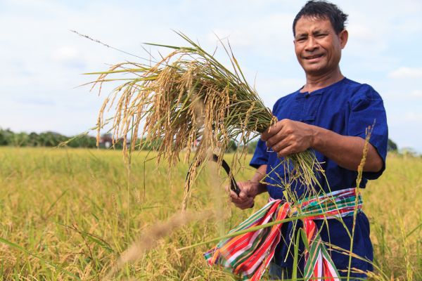 Notice of Funding Opportunity: Food for Progress Program - fundsforNGOs