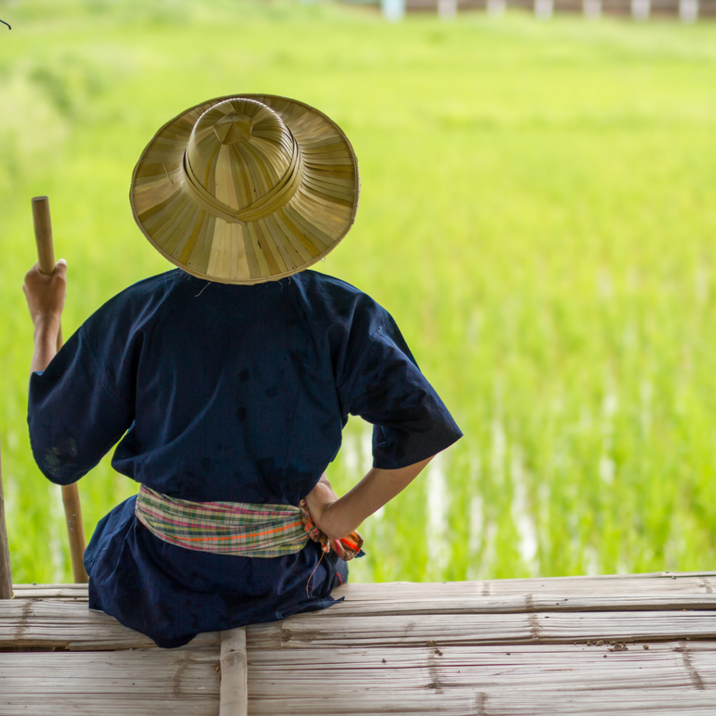 USDA/NIFA: Community Food Projects Competitive Grant Program - fundsforNGOs