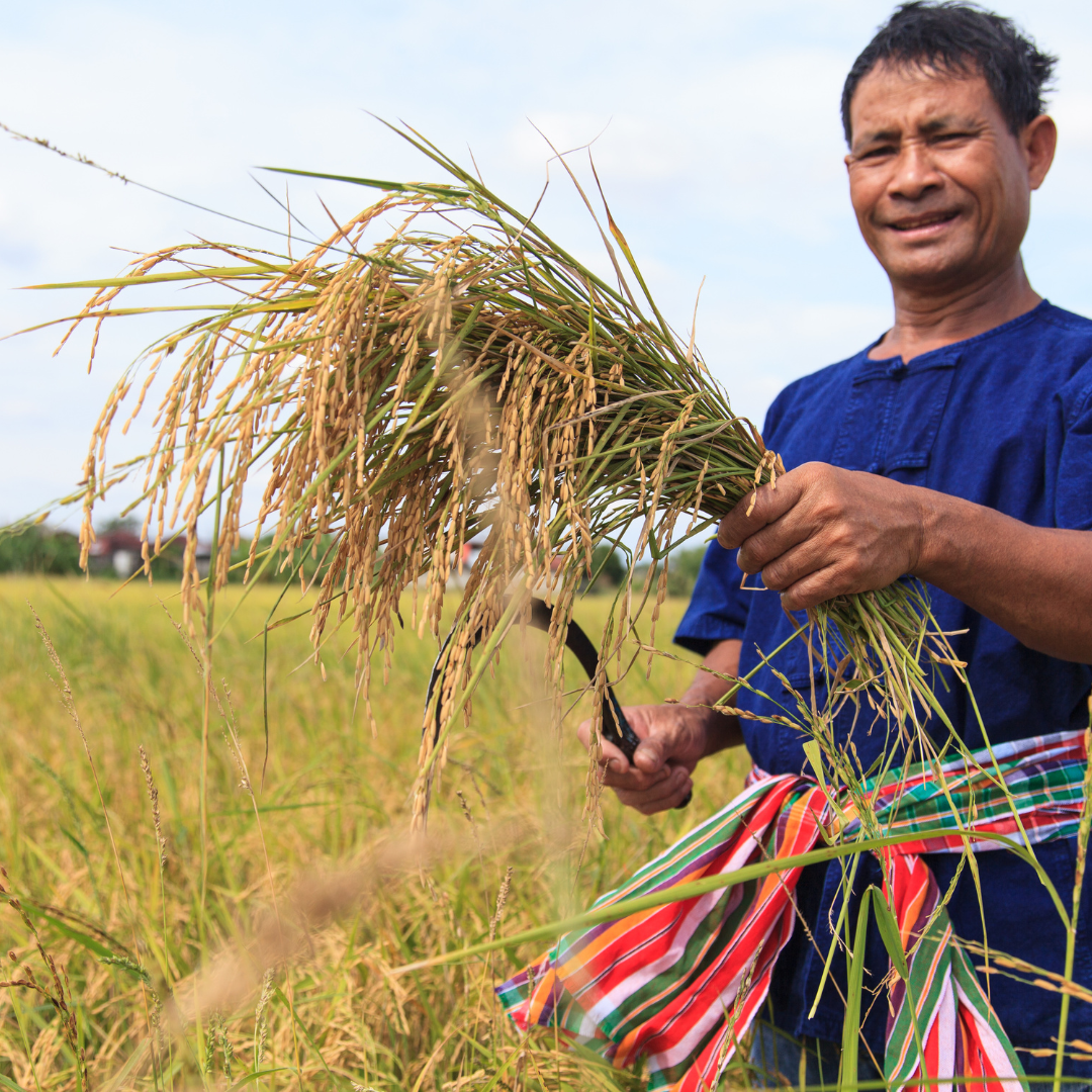 Tasmanian Community Food Relief Grants Program – Australia - fundsforNGOs