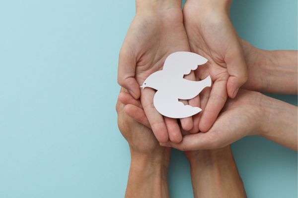 UNAOC’s Young Peacebuilders Programme - fundsforNGOs