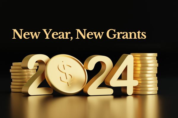 New Year, New Partners: Grants and Donors in 2024 - fundsforNGOs