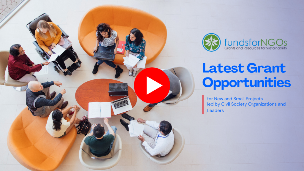 Organizational Chart for your NGO - fundsforNGOs