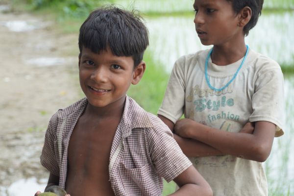 USAID Grants and Partnership Programs for Diverse Sectors in 2024 ...