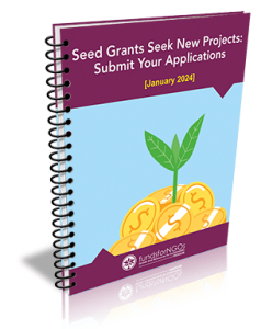 How to Apply and Succeed in raising Seed Grants for your Organization ...