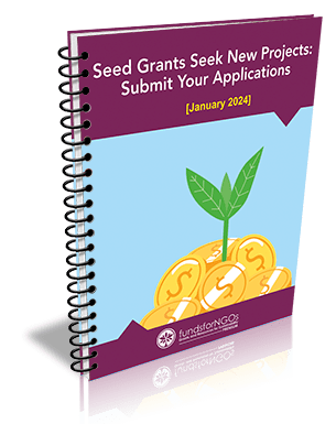 How to Apply and Succeed in raising Seed Grants for your Organization ...