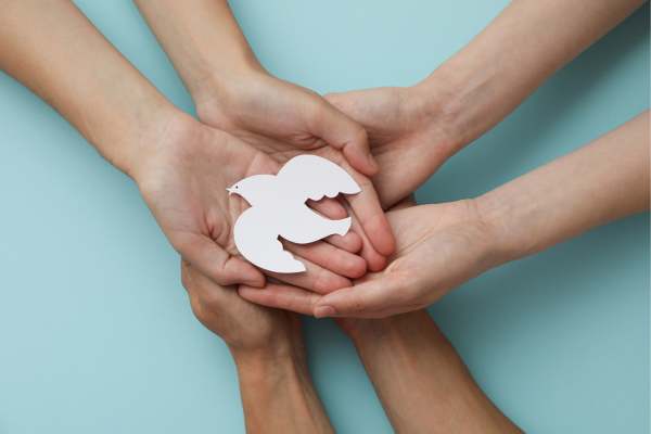 A Free Guide on ‘How to Create a Communications Plan for Your NGO ...