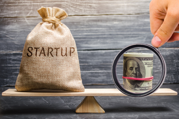 How Seed Funding works for Startups and Investors - fundsforNGOs ...
