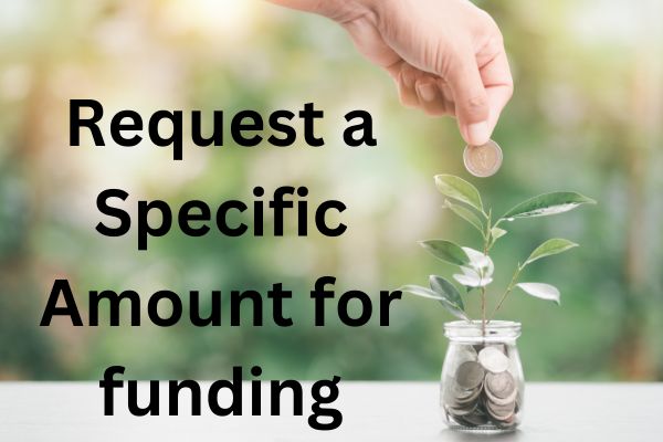 How to Request a Specific Amount for funding as a small NGO ...
