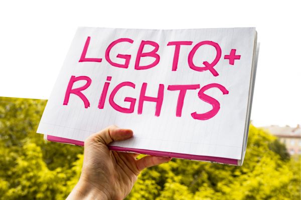 Project Proposal on Enhancing Legal Protections and Rights for ...