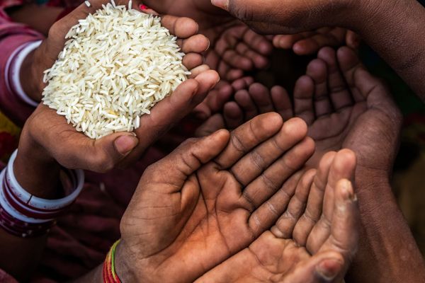 Project Proposal on Public-Private Partnerships for Hunger Alleviation ...