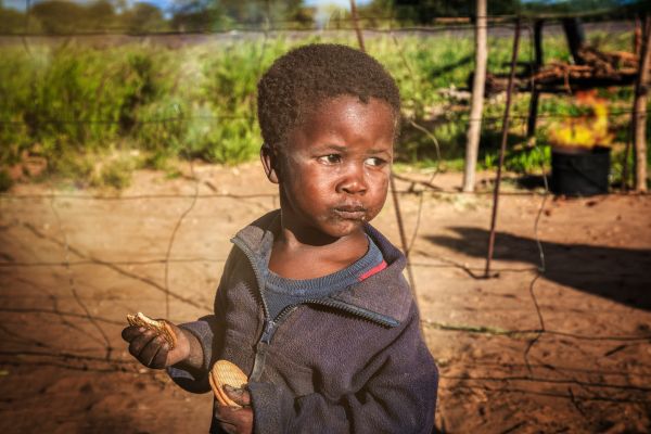 Sample Proposal: Addressing Food Insecurity and Malnutrition in ...